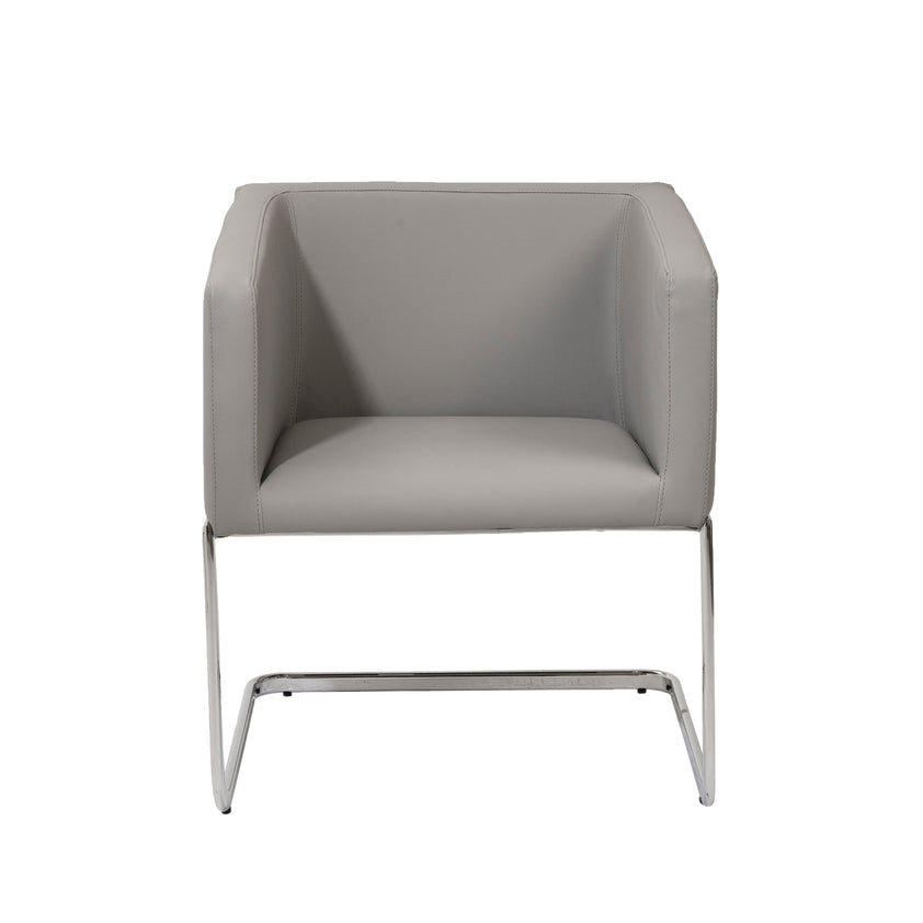 Ari Lounge Chair - Grey