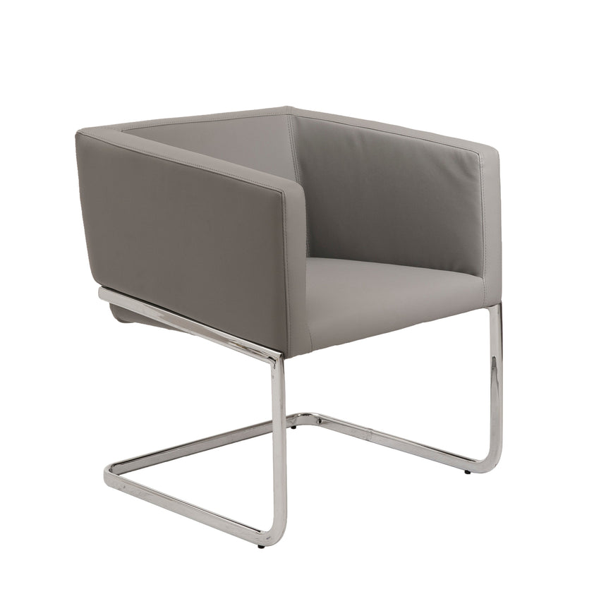 Ari Lounge Chair - Grey