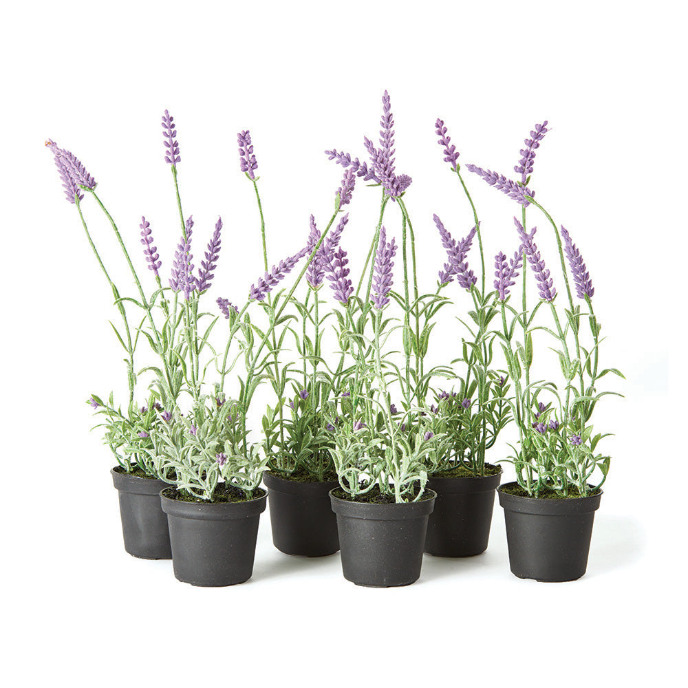 French Lavender Drop-In 13 Inches, Set Of 6