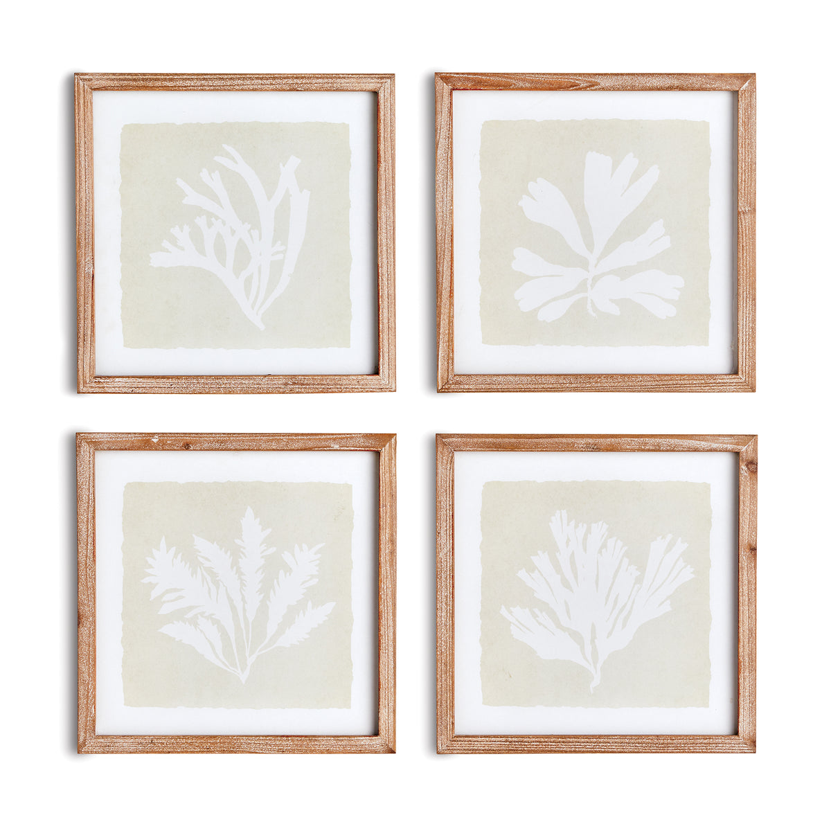 Seaweed Petite Prints, Set Of 4