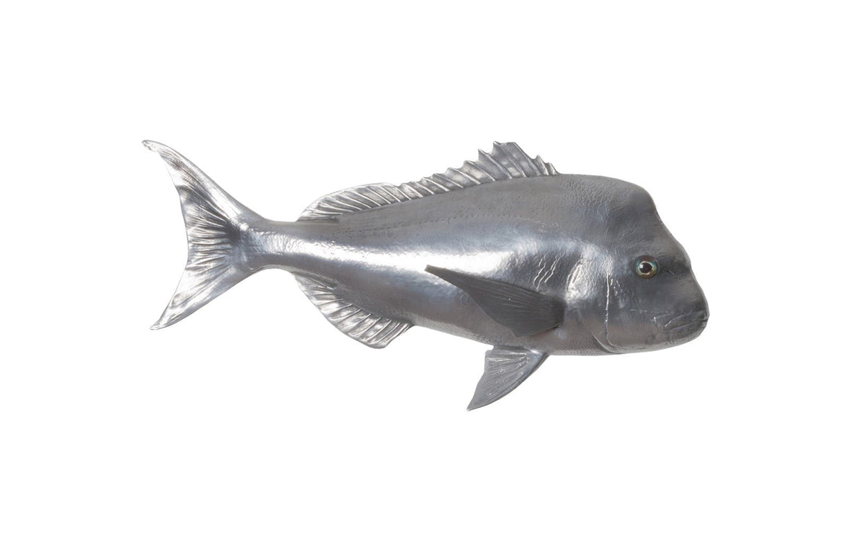 Australian Snapper Fish Wall Sculpture, Resin, Polished Aluminum Finis